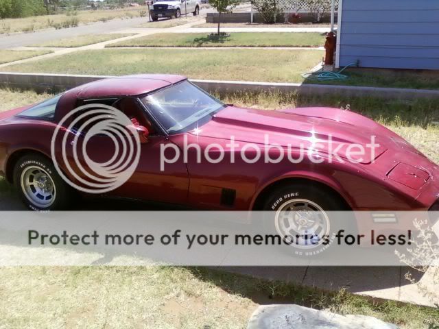 Just got me an 81 vette - CorvetteForum - Chevrolet Corvette Forum ...