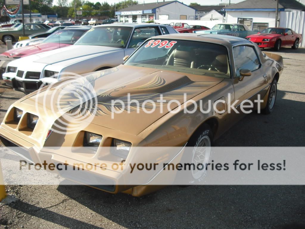 How rare is this? (Turbo Screaming Chicken) | Page 2 | VW Vortex ...