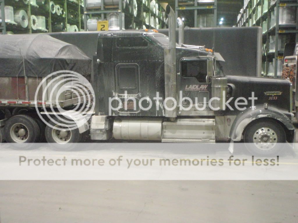 Newstar Robbie Images Usseek Com Male Models Picture