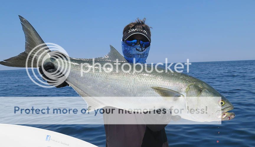 Southern Oman with No Boundaries, October 2014 - off the charts fishing ...