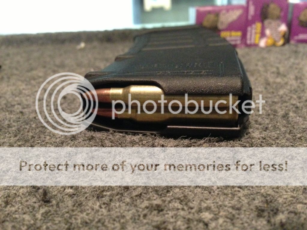 Adcor Bear - Calguns.net